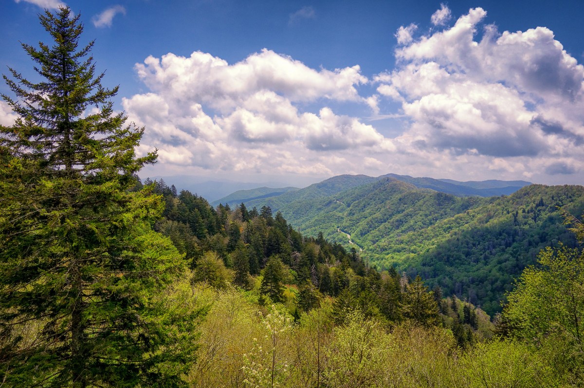 Top 7 Scenic Drives in Tennessee for Every Season