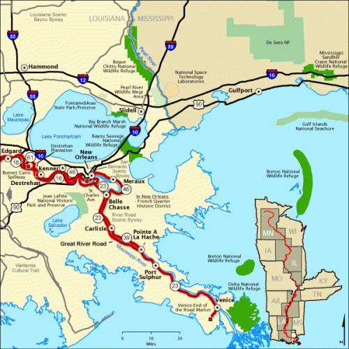 Top 7 Scenic Drives in Louisiana for Stunning Views