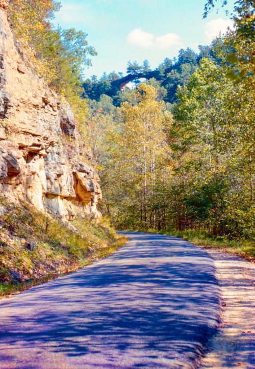 Top 10 Scenic Drives in Kentucky for a Memorable Road Trip