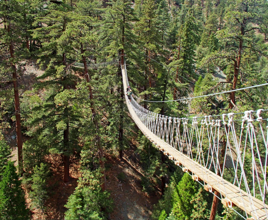A Magnificent Canopy Walk in The Southern California Woods
