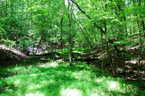 Camp Rutledge, GA Is The Most Haunted Campground