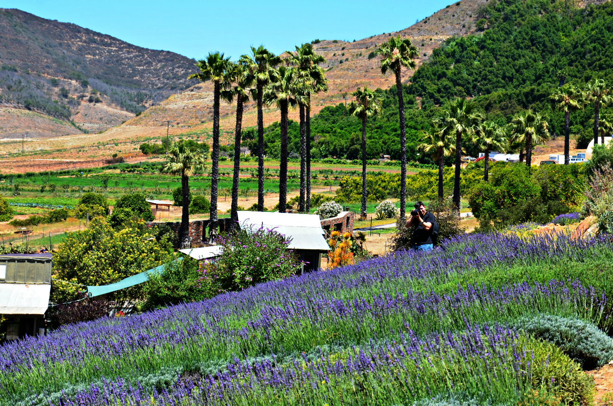 12 Places In Southern California You Must See Before You Die