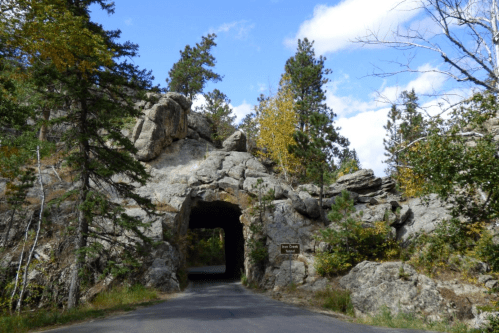 Peter Norbeck Byway: One Of The Best Scenic Drives In South Dakota