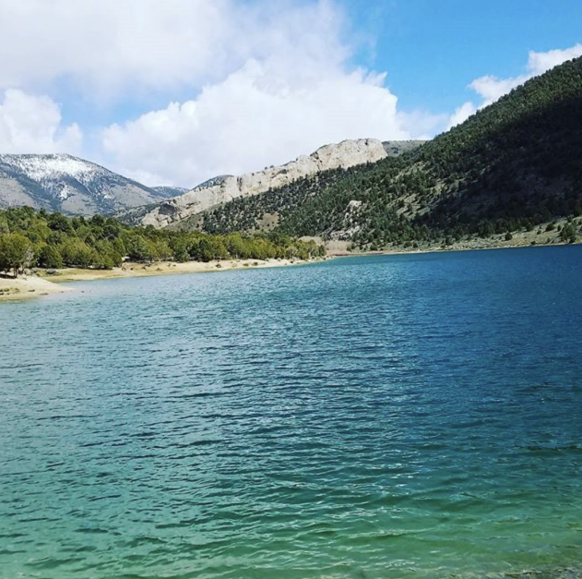 Here Are 12 Nevada Swimming Holes That Will Make Your Summer Epic