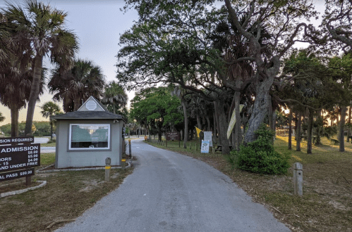Top 7 Beachside Campsites in South Carolina for an Epic Summer