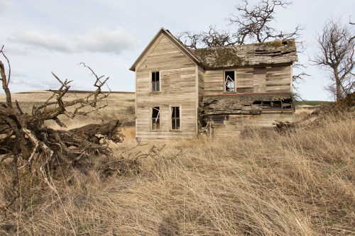 These Abandoned Homes In Washington State Are Eerily Beautiful