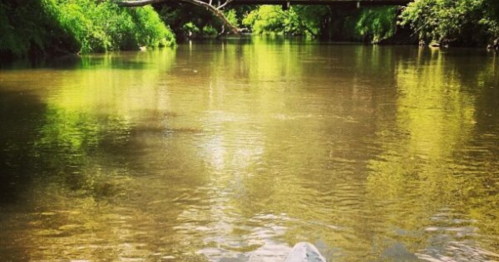 The Top 12 Things To Do In The Driftless Area