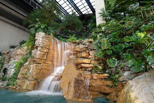 12 Unbelievable Missouri Waterfalls Near Me