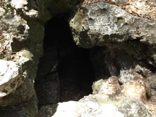 Explore The Withlacoochee State Forest Caves In Florida