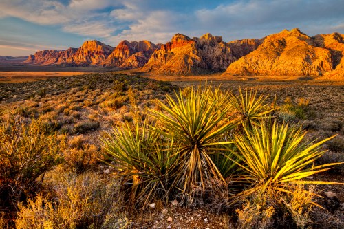 12 Nevada Natural Wonders That You Must Visit Immediately