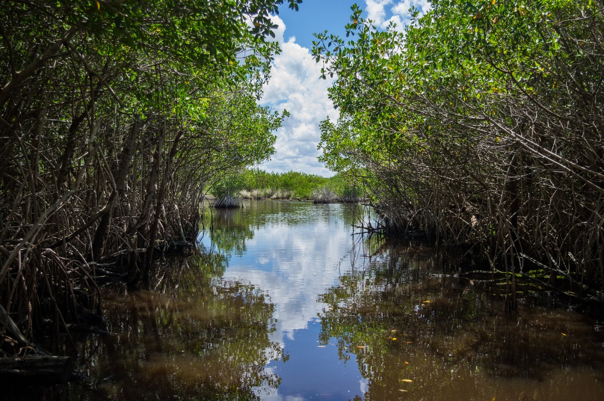 8 Of The Most Dangerous Places In Florida