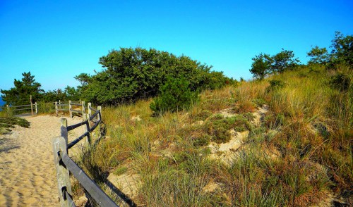 The 4 Best Places For Delaware Beach Camping