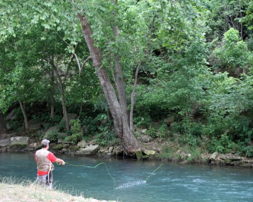 Roaring River Spring In Missouri: A Stunning Natural Wonder