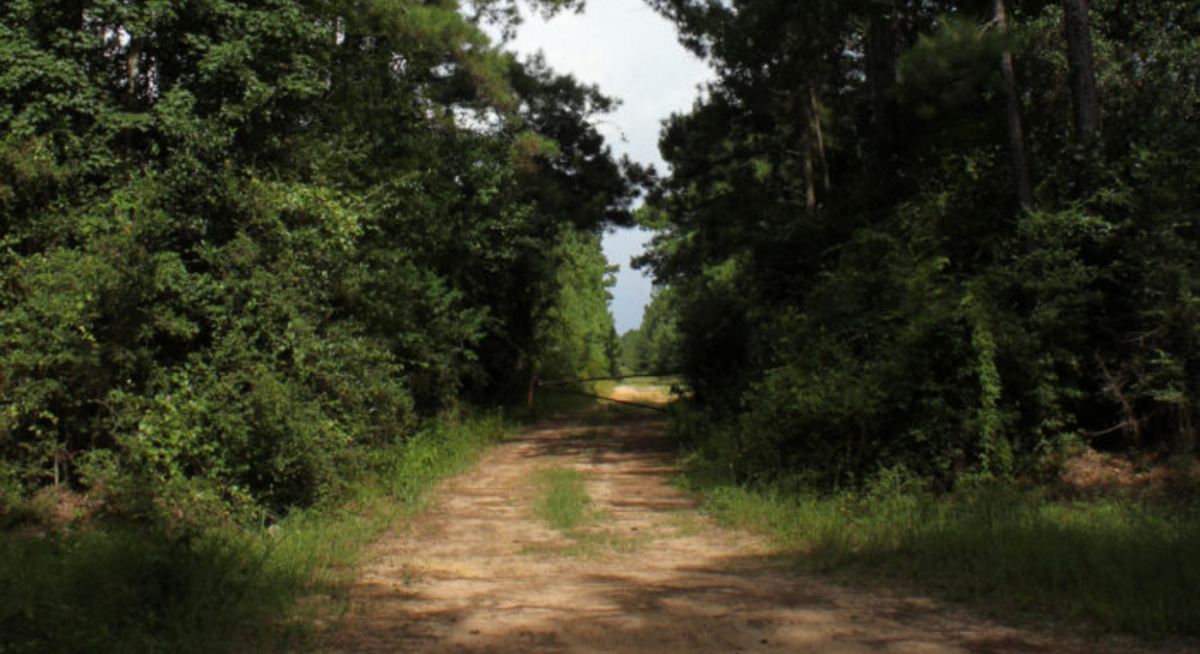 8 Best Hikes In Texas That Are Haunted