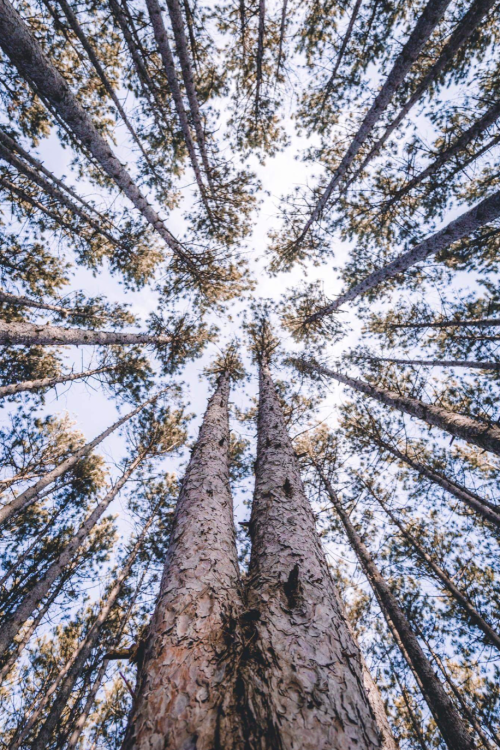 Top 10 Bucket List Adventures in Ohio for Nature Lovers