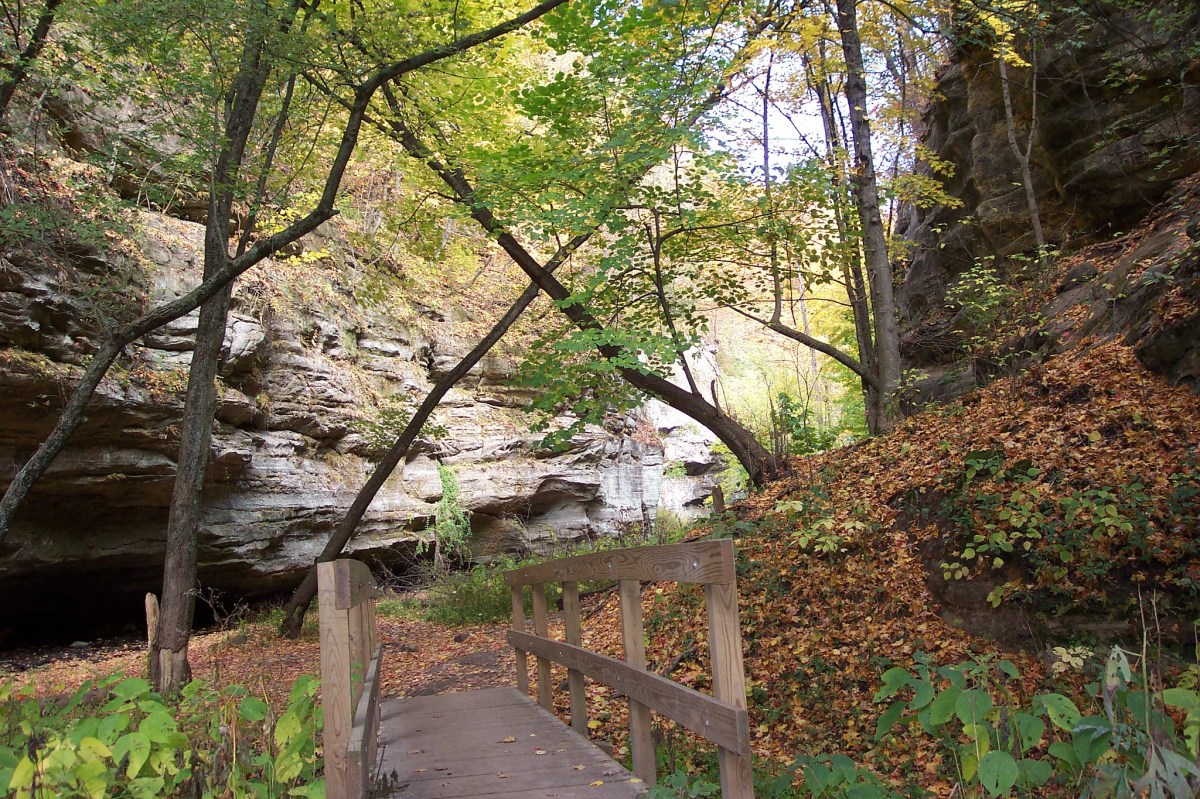 10 Of The Best Hikes In Illinois That Are Also Short And Easy