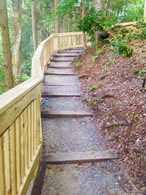 Take This Incredible West Virginia Train Ride To See Waterfalls