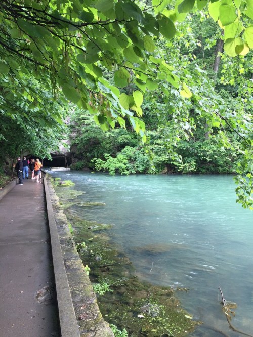 Roaring River Spring In Missouri: A Stunning Natural Wonder