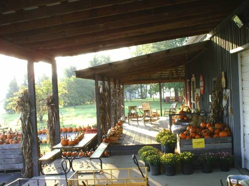 Apple Orchards In Kentucky: These 12 Are Perfect For A Fall Day