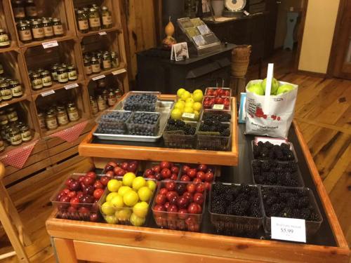 Apple Orchards In Kentucky: These 12 Are Perfect For A Fall Day