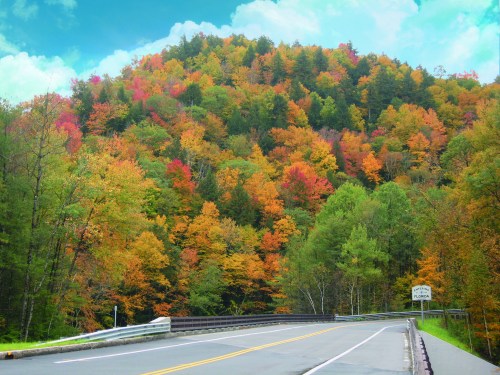 Explore Massachusetts' Best Fall Foliage on a Scenic Road Trip