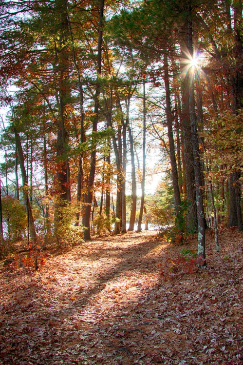 Explore Massachusetts' Best Fall Foliage on a Scenic Road Trip