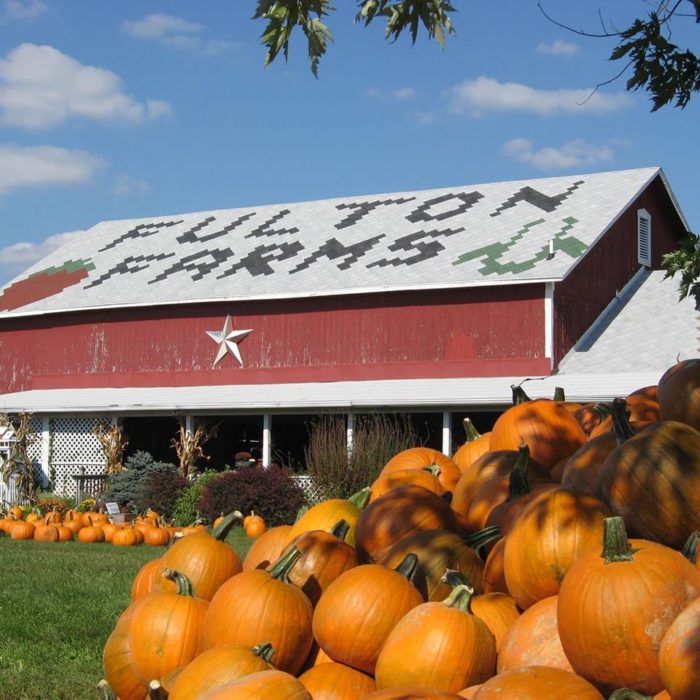 The 12 Best Pumpkin Patches In Ohio For 2016
