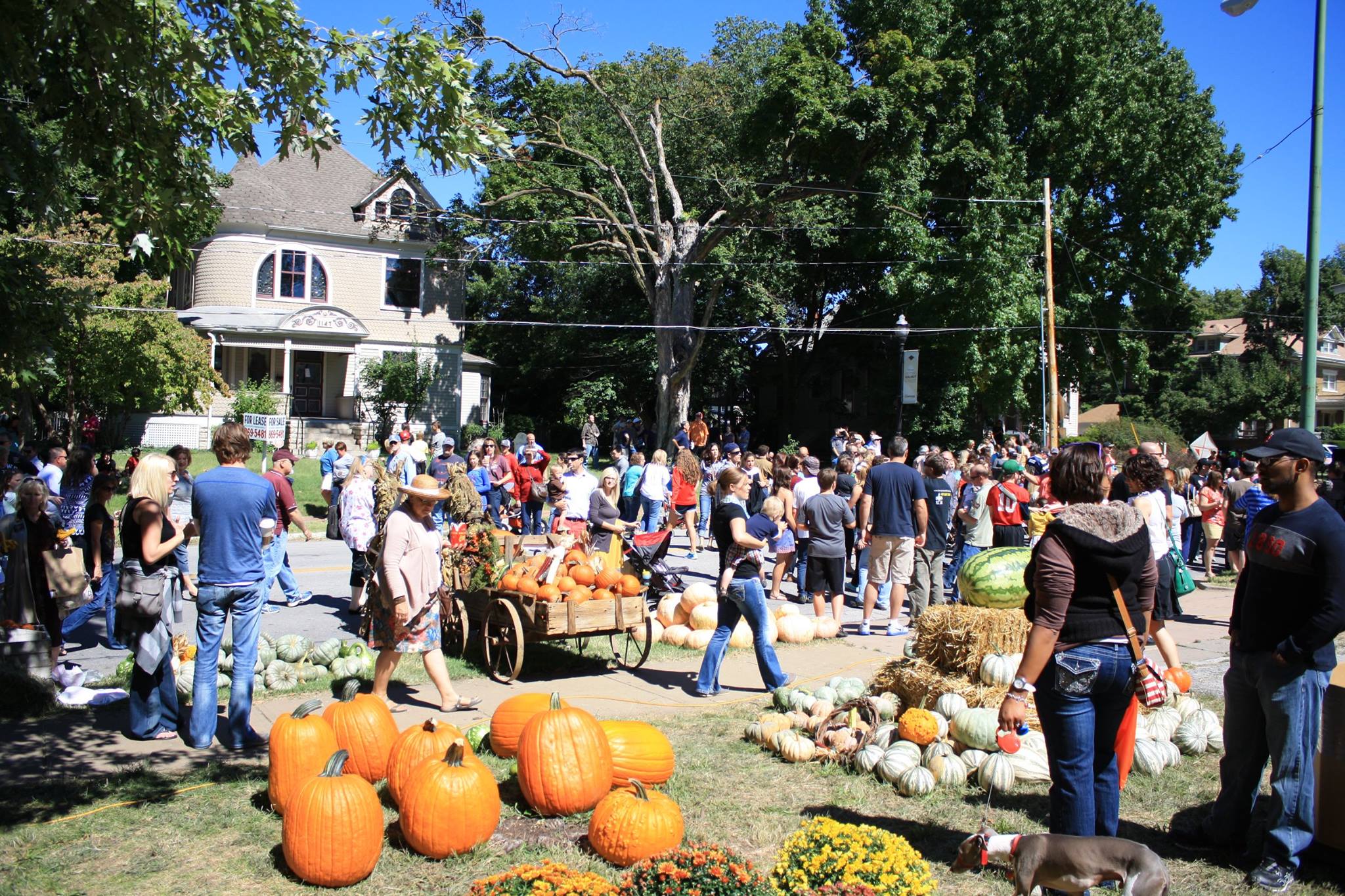 10 Unique Fall Festivals In Missouri You Won’t Find Anywhere Else