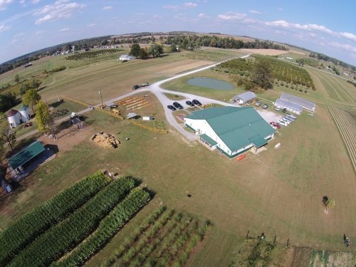 Apple Orchards In Kentucky: These 12 Are Perfect For A Fall Day