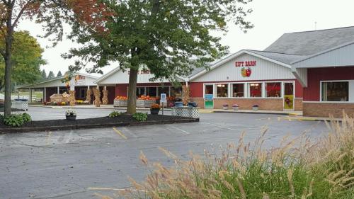 Best Apple Orchards: Apple Picking In Michigan