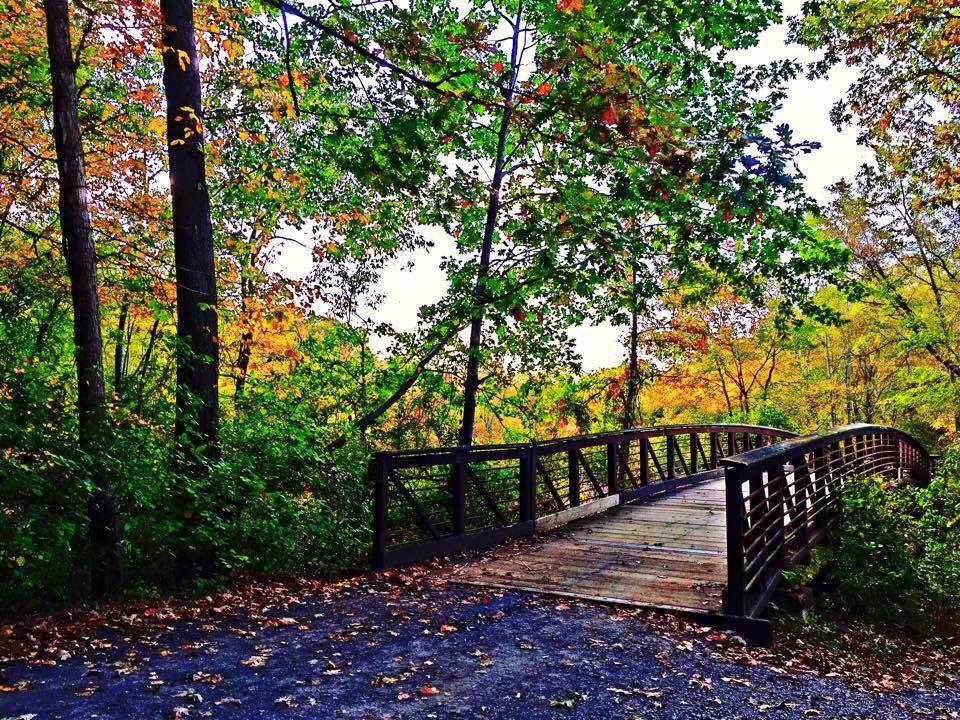 Here Are Some Of The Best Hikes In Delaware To Do ASAP