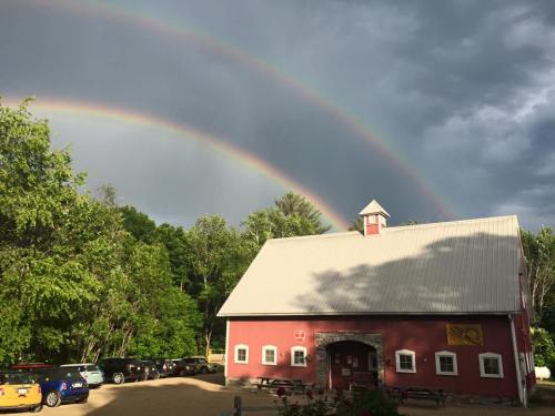 Here Are The Best New Hampshire Apple Cider Donuts
