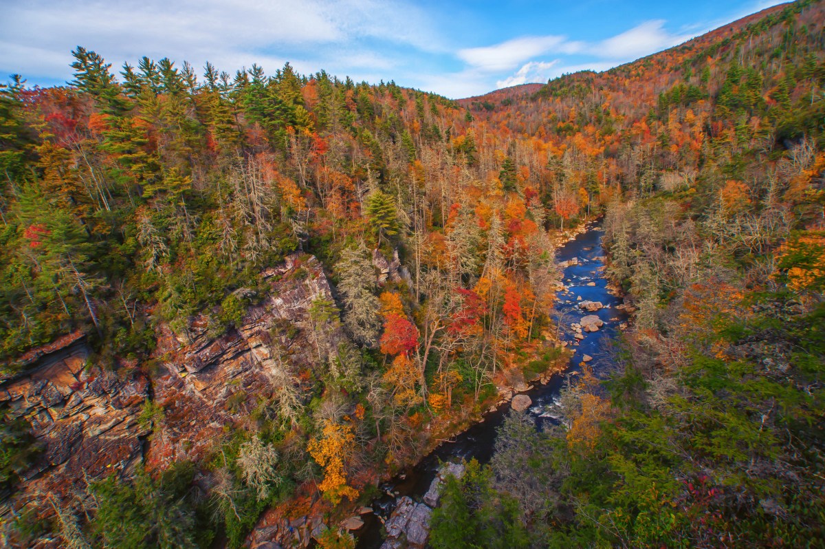 This Map Shows When To Expect Fall Colors in North Carolina