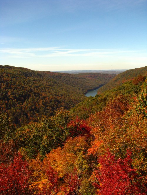 Take This Fun-Filled Road Trip To See Fall Foliage In WV