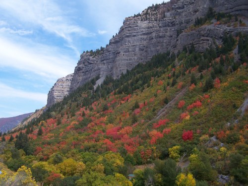 Alpine Scenic Loop: One Of The Best Scenic Drives In Utah