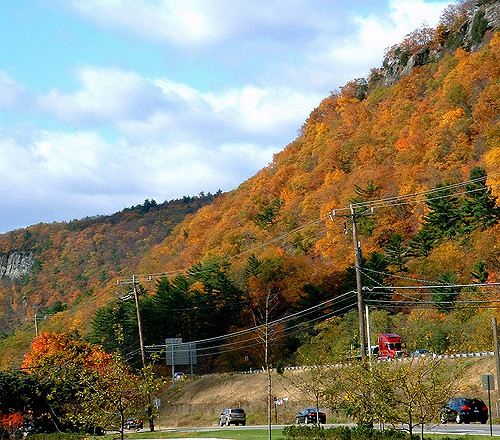 A Road Trip To The Best Places For Fall Foliage In Pennsylvania