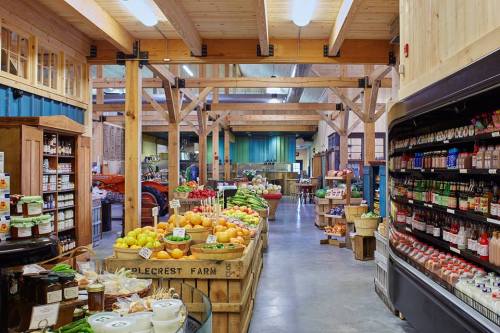 Here Are The Best New Hampshire Apple Cider Donuts