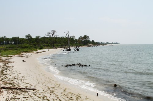 Deal Island, Maryland Is A Lovely Quiet Fishing Town