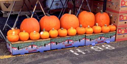 The Massive Mile High Flea Market In Denver Will Blow You Away
