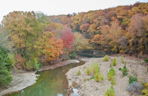 Fall Foliage Train Ride In Arkansas: Scenic Autumn Adventure