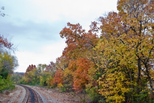 Fall Foliage Train Ride In Arkansas: Scenic Autumn Adventure