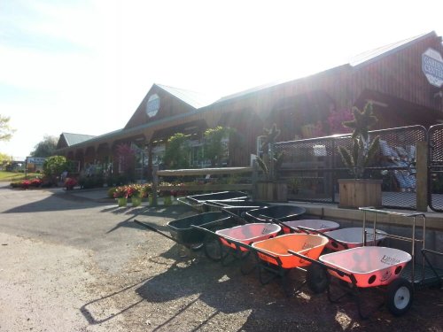 Go Apple Picking At The 10 Best Apple Orchards In Pennsylvania
