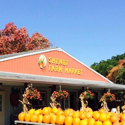 Get Lost In The Best Corn Mazes Near Pittsburgh This Fall