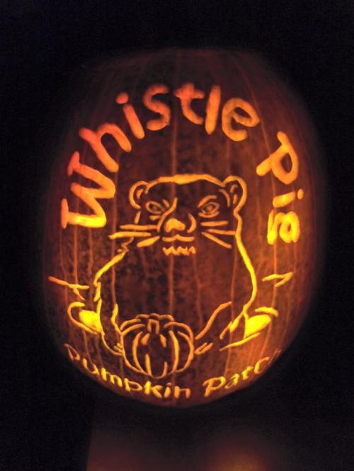 The 9 Best Pumpkin Patches In Pennsylvania To Visit This Fall