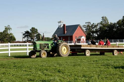 Best Apple Orchards: Apple Picking In Michigan