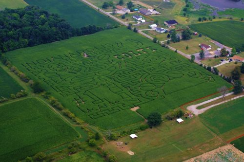 9 Of The Best Corn Mazes In Indiana To Explore This Fall