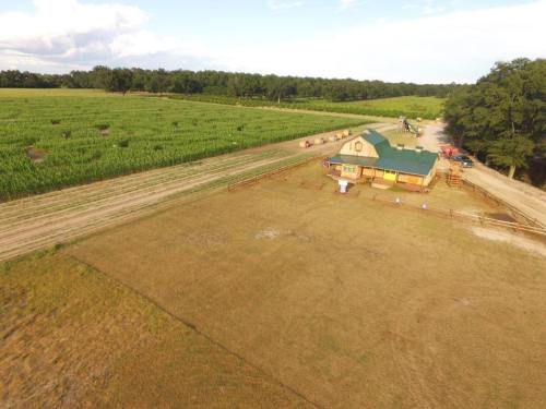 The 6 Best Corn Mazes In Alabama