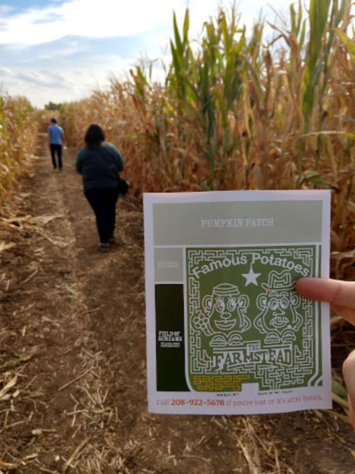 10 Of The Best Corn Mazes In Idaho