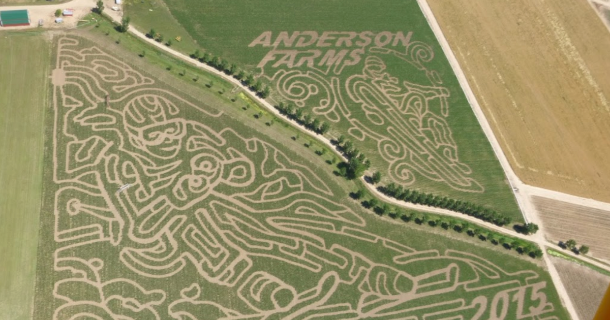 8 Awesome Corn Mazes Around Denver To Visit This Fall