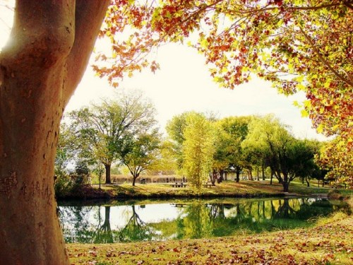 Visit 11 of the Best Places During Fall in Nevada